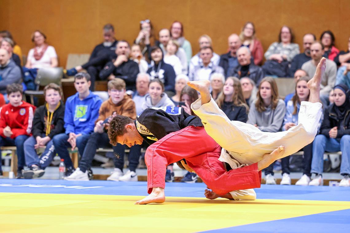 Vom Kellerkind zum Titelaspiranten